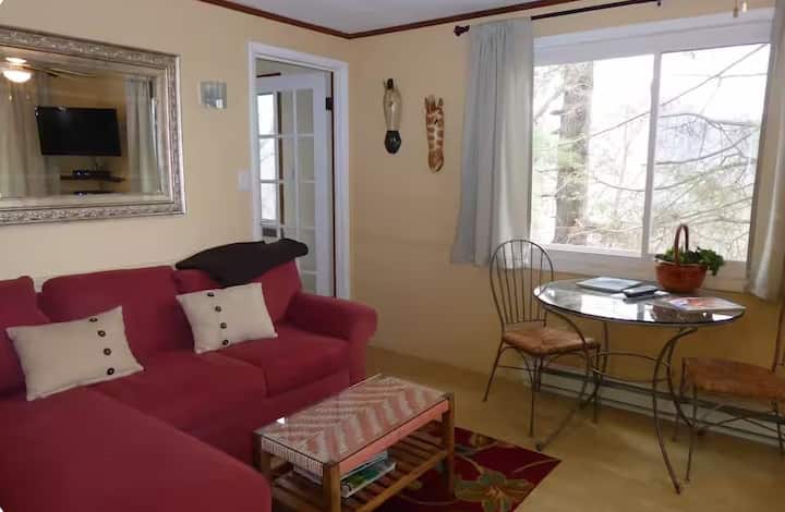 1950s Chalet Above Downtown -$6 Uber To All! - Asheville, NC
