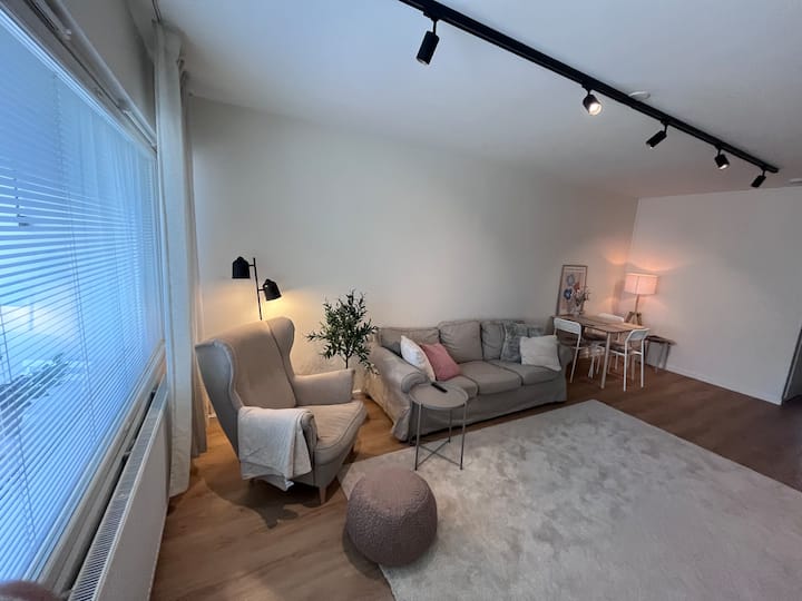 Vaasa City Suite (2 Bedroom) - Vaasa