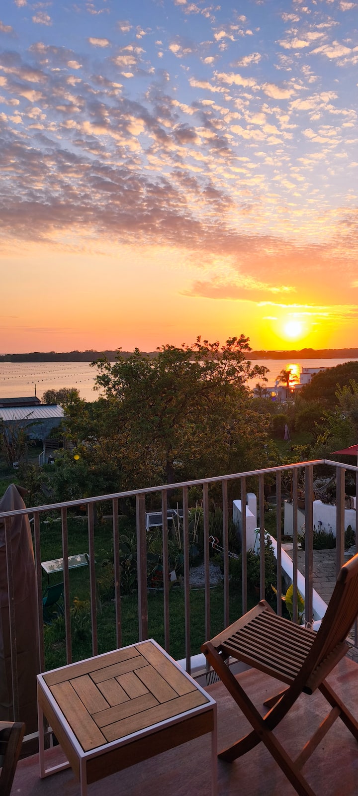 Stanza In Cellaio Phlegrean Guesthouses Acherusia - Ischia