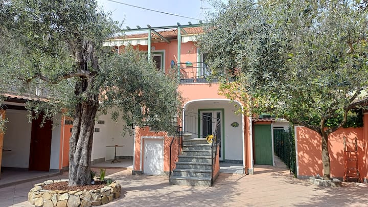 Appto Basilico: Una Nota Fresca Di Benessere - San Bartolomeo al Mare