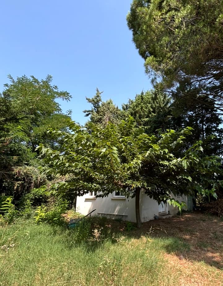 Petit Aire De Campagne - Roquemaure