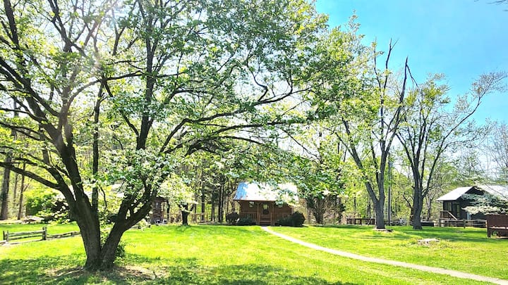 Riverfront, Dog Friendly, ½ Mile To Gsmnp - Townsend, TN