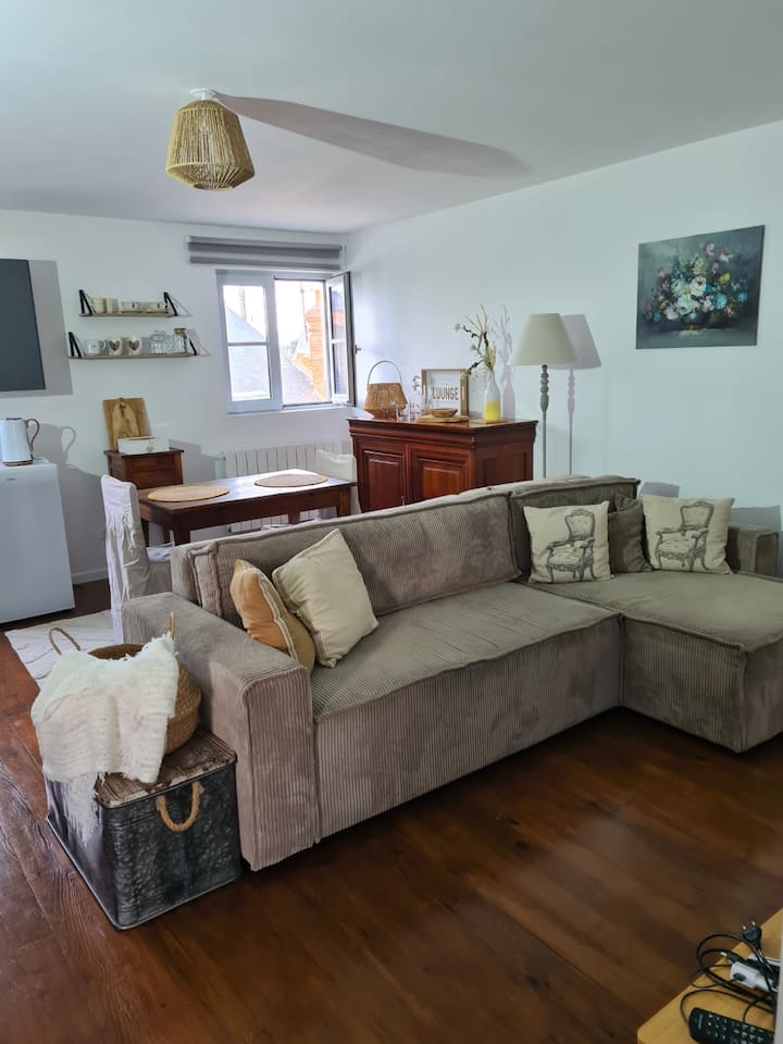 Appartement T2 Cosy Et Rénové Au Cœur De Nevers - Nevers