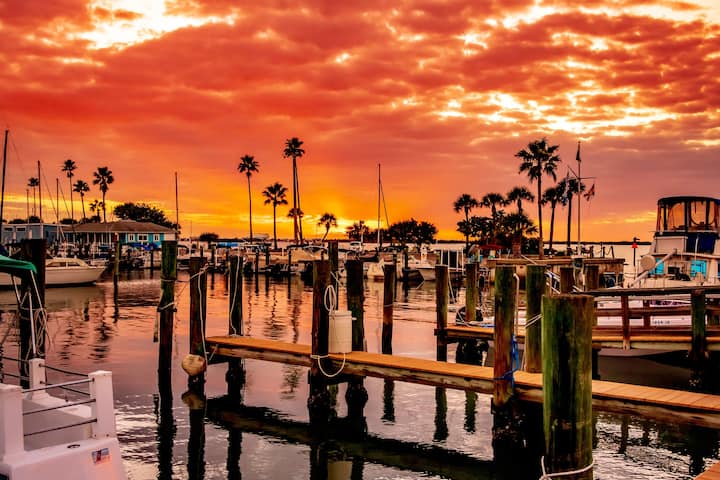 Paradise Cove: Near Honeymoon Island & Dunedin - Palm Harbor, FL