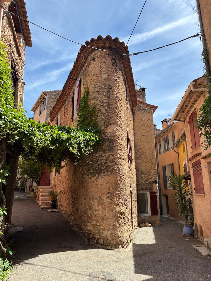 Maison De Charme Au Style Traditionnel - Aups