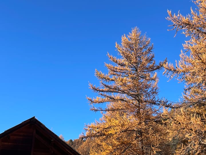 Chalet Vallée La Clarée Briançon Serre Chevalier - Montgenèvre