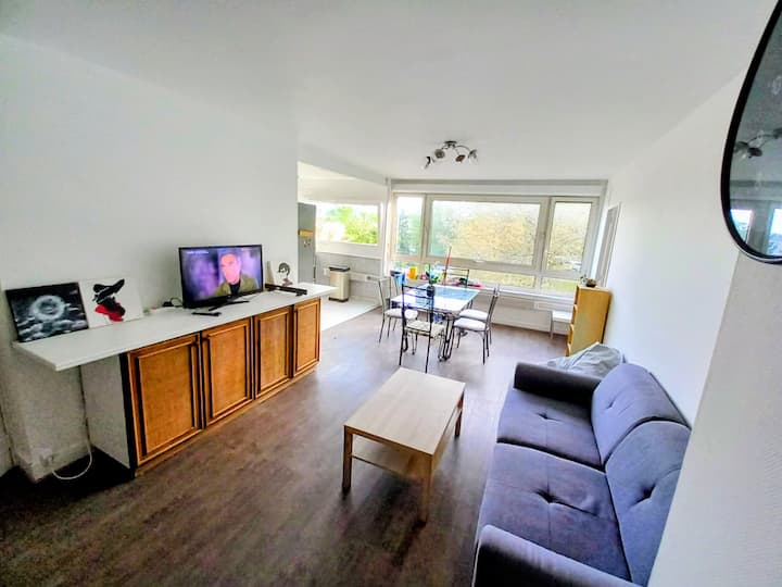 Grand Appart Lumineux F5 80 M² Parking - Nancy
