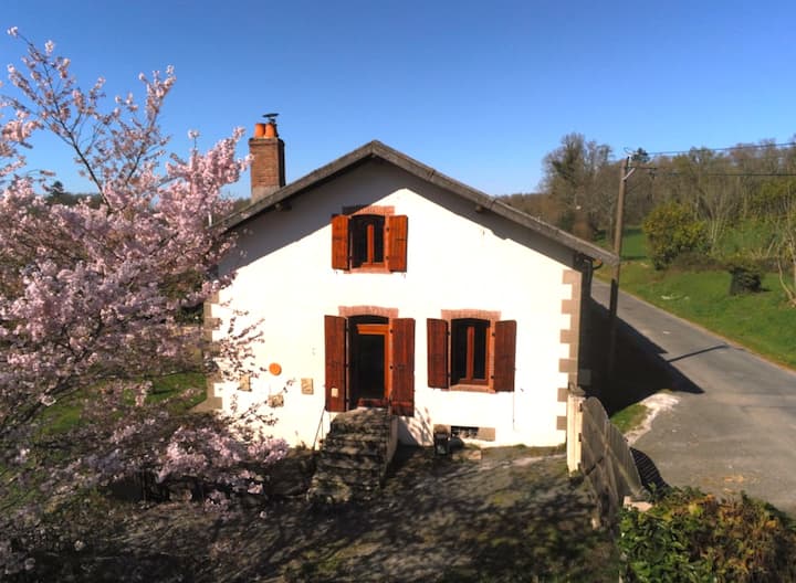 L'olivette - Saint-Mathieu