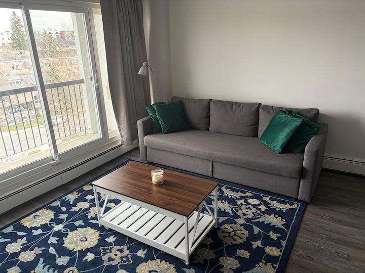 Central & Spacious 2bed 1bath + Balcony & Parking - Mount Royal University