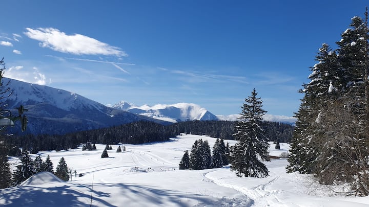 Charmant F2, Départ Randonnée, Pied Piste, Piscine - Chamrousse