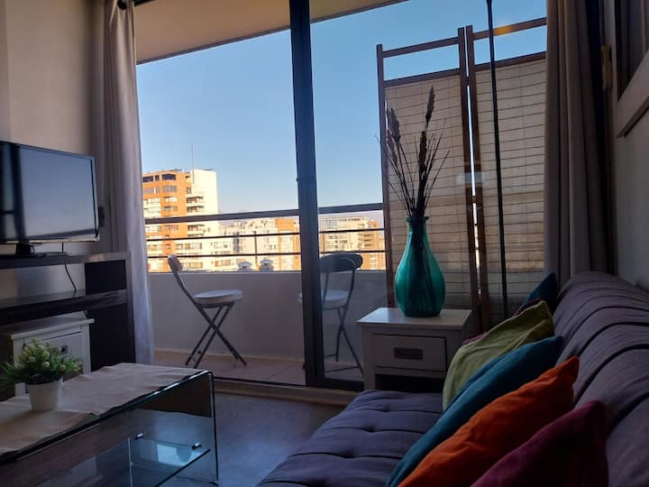 Vista Ciudad Y Montañas - Santiago