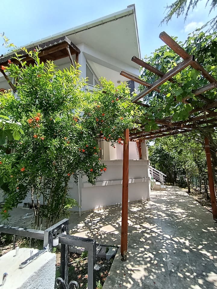 No:43 Kaptan Saros Turizm - Çanakkale
