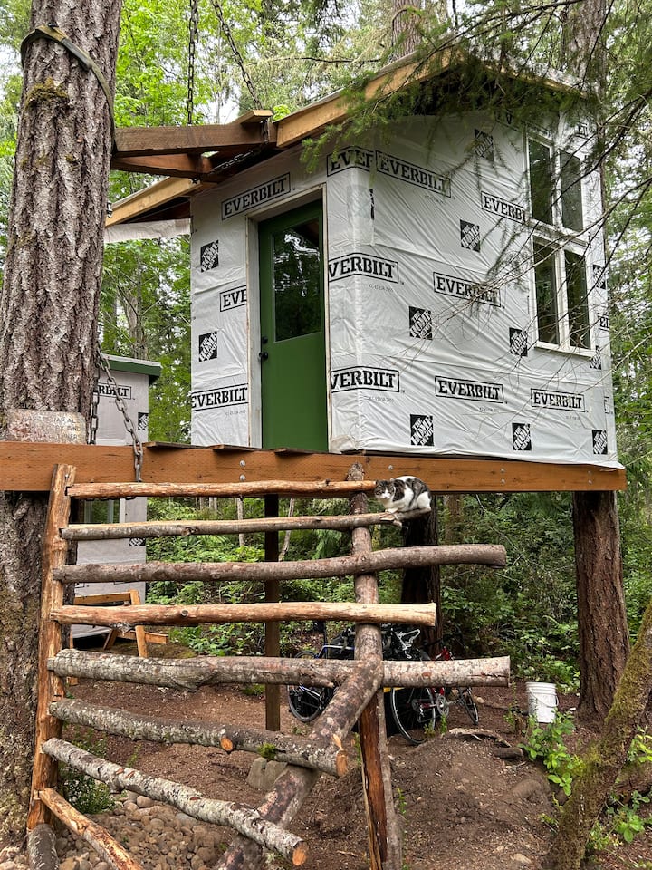 The Shamshackle - Silverdale, WA