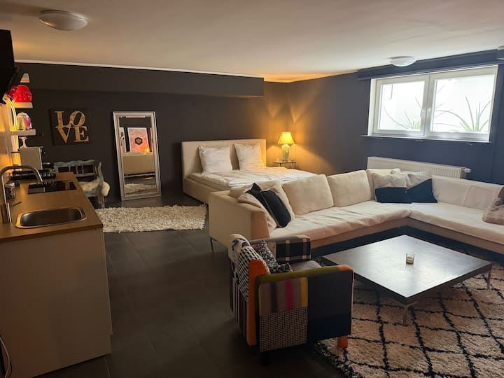 1 Zimmer Souterrainwohnung 50m2 - Frankfurt
