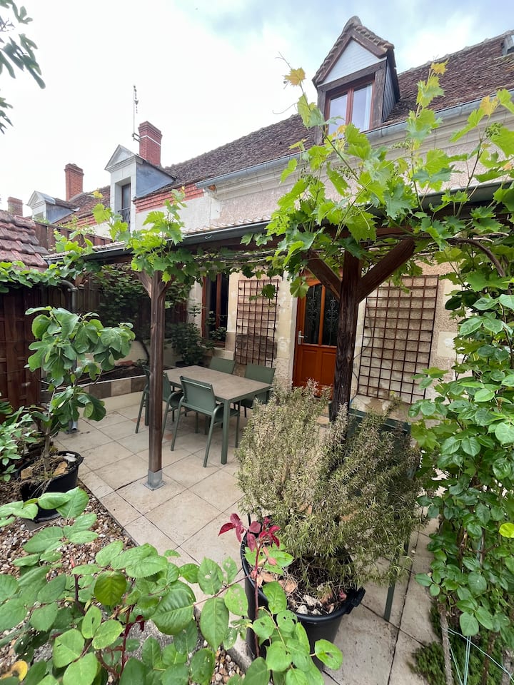 Jolie Maison De Charme Proche Beauval Et Châteaux - Selles-sur-Cher