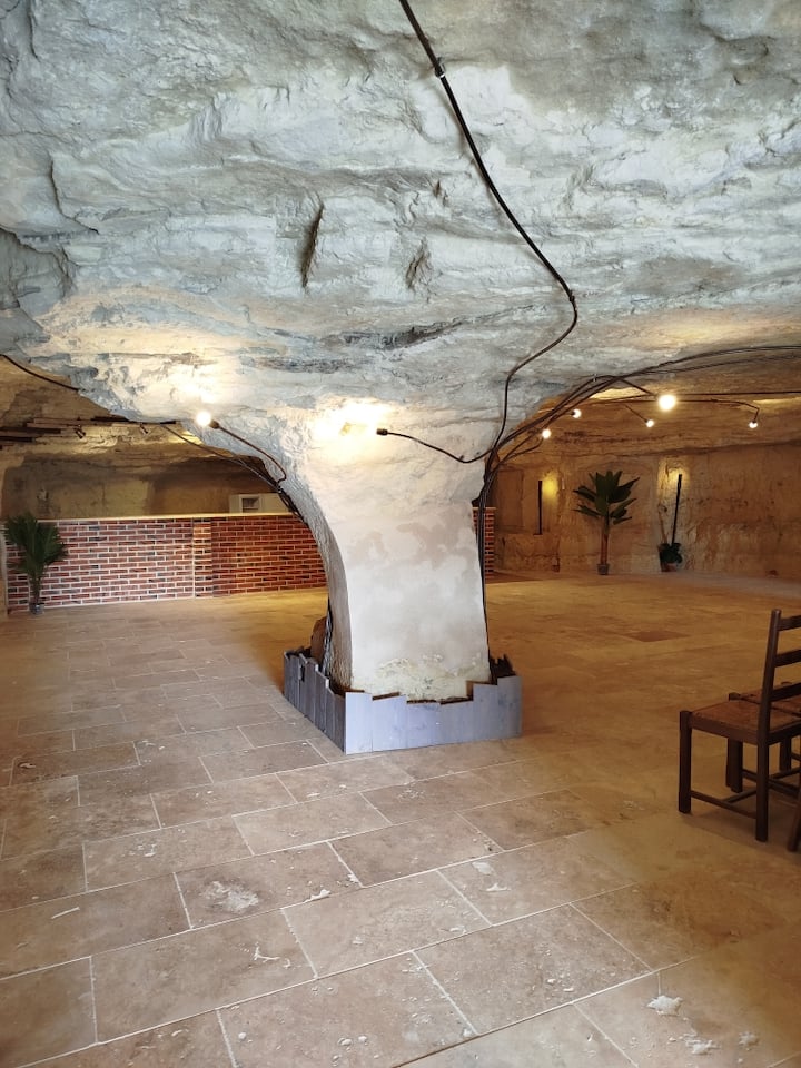 Propriété Troglodyte Dans Un Espace Atypique - Loches