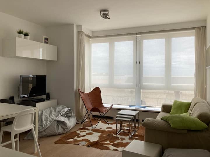Gezellig Appartement Met Frontaal Zeezicht! - Knokke-Heist