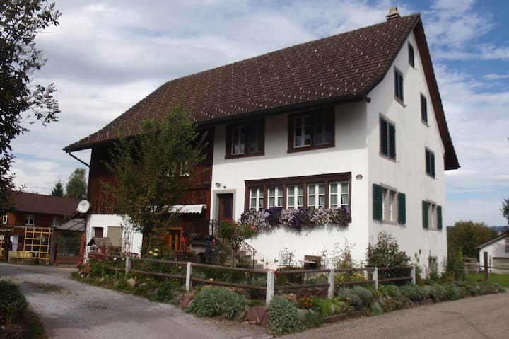 Gemütliche Dachwohnung In Einem Alten Bauernhaus - Suisse