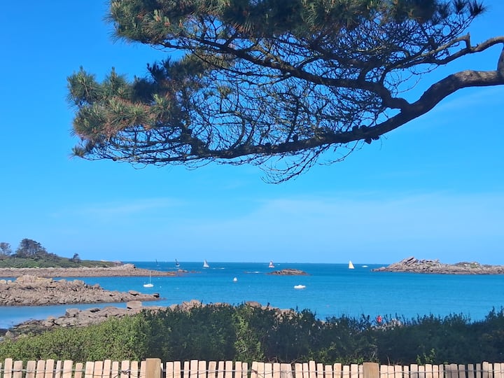 Maison Face à La Mer Avec Accès Direct à La Plage - Trégastel