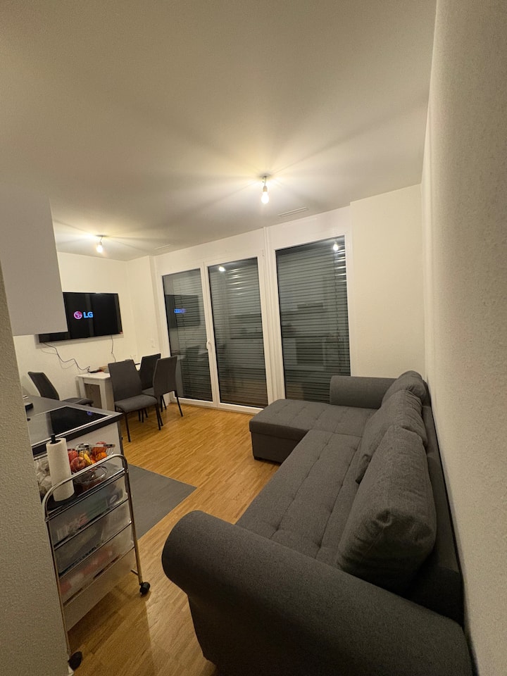 Studio Cosy Terrasse Proche Cern Et Transports - Saint-Genis-Pouilly