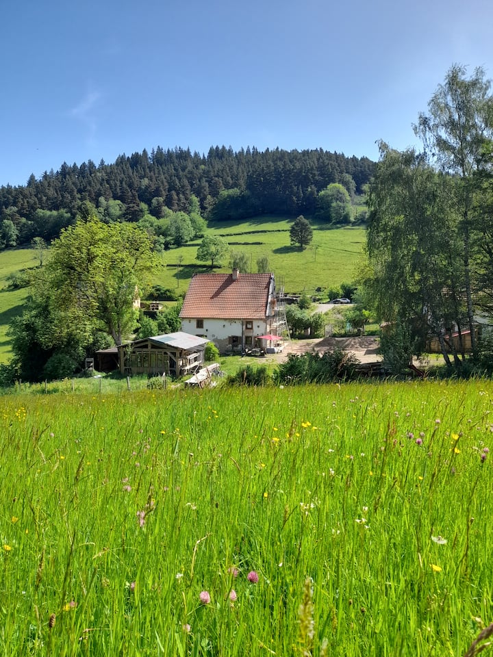 Maison De Montagne Rustique • Calme & Nature - Orbey