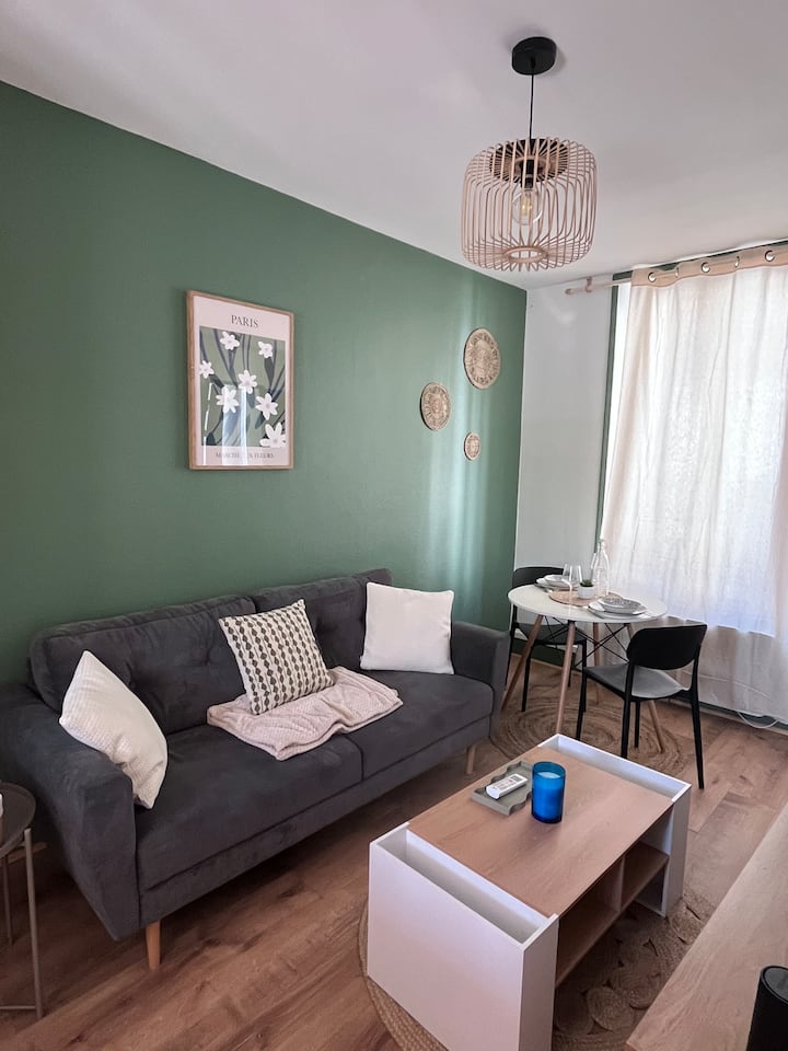 Charmant Appartement Lumineux Avec Jardin - Nancy