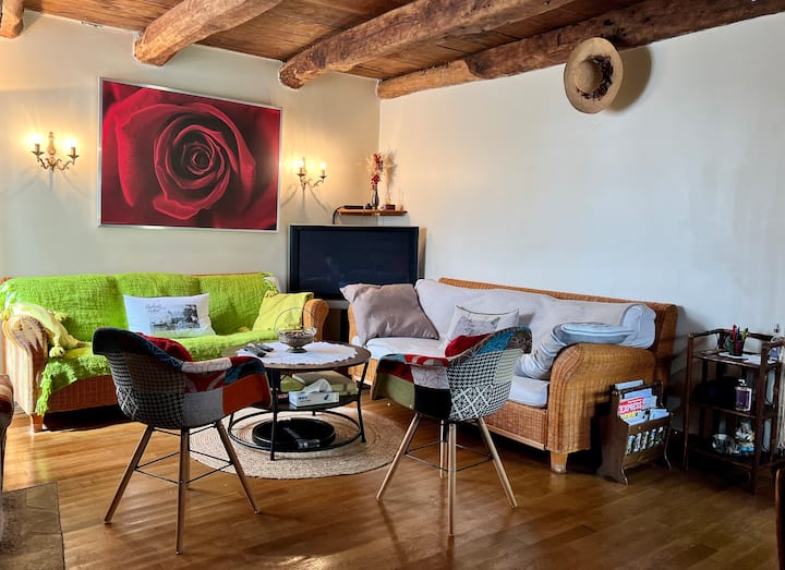 Gîte Aveyron Proche De Laguiole - Laguiole