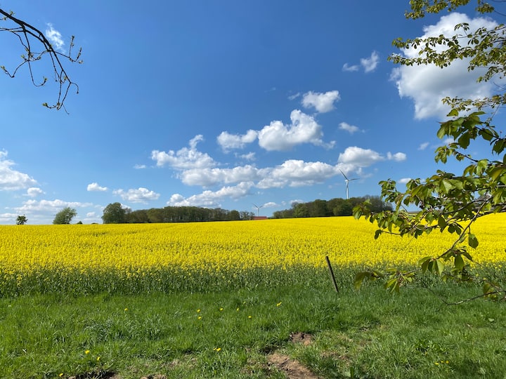 Urlaub In Der Natur 
Auf Dem Hof Husmann - Allemagne