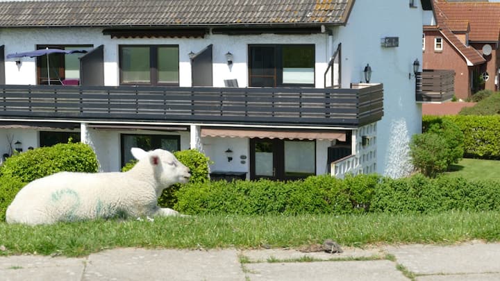 Haus Lith Deichblick - Nordstrand