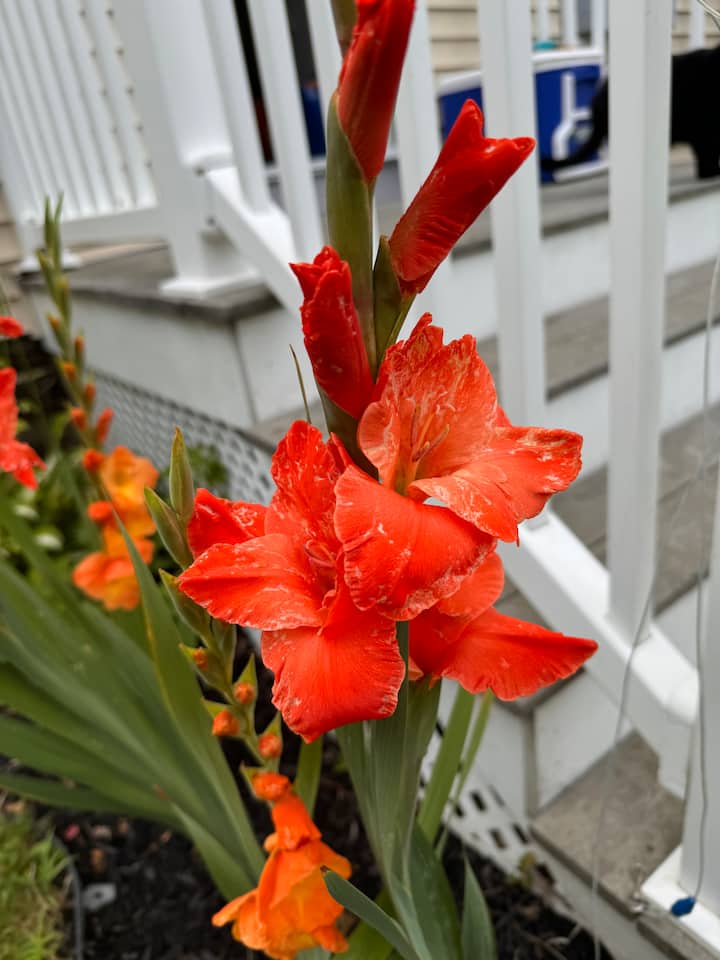 Redbank Townhouse - South Portland, ME