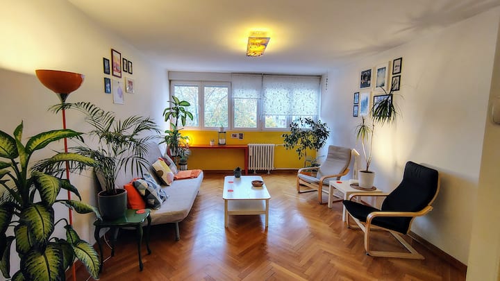 New Belgrade Oasis - Belgrade