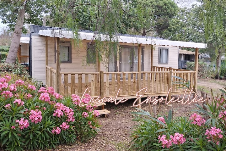 Mobil-home Neuf Dans Camping 4 * Saint Cyprien - Saint-Cyprien