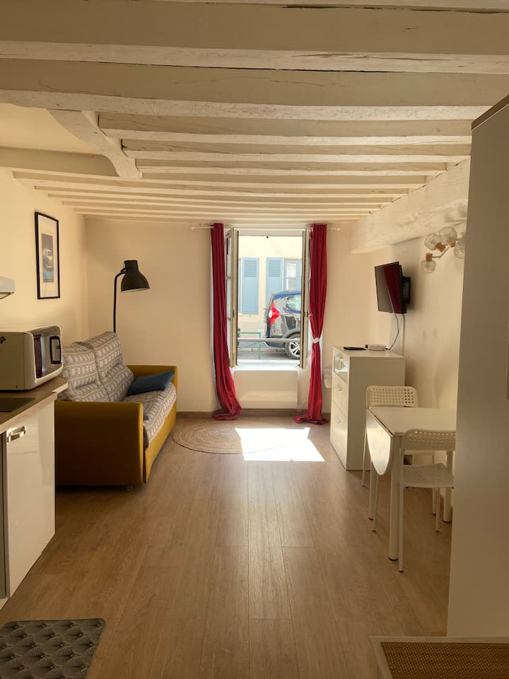 Charmant Studio Centre-ville Proche Château - Fontainebleau