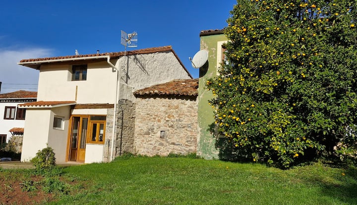 Number 12 - Villaviciosa