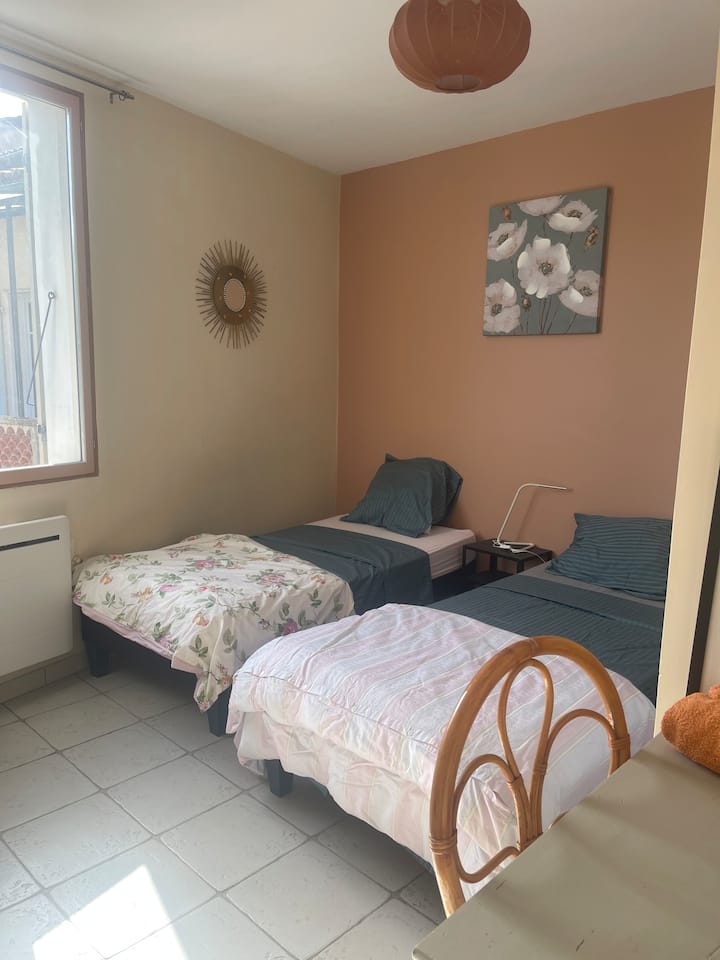 Chambre D’hôtes Lits Jumeaux - Lectoure