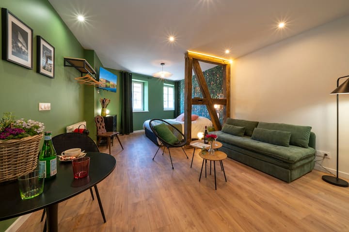 Le Nid Bohème · Studio Climatisé · Centre - Haguenau