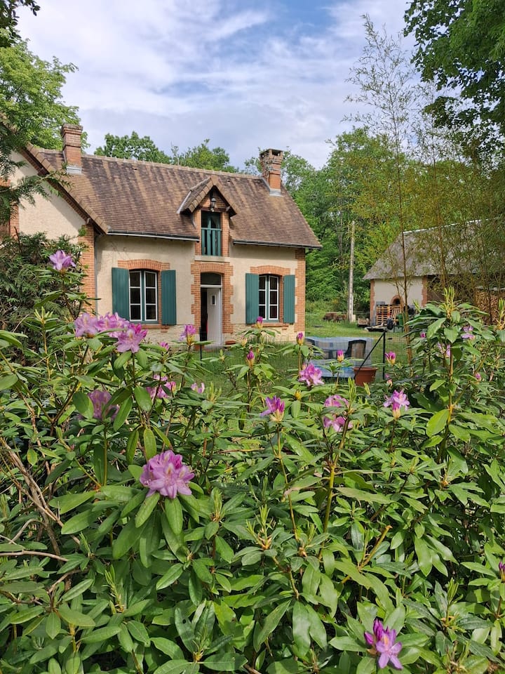 Bienvenue Au Gîte Le Mériadec - Nouan-le-Fuzelier