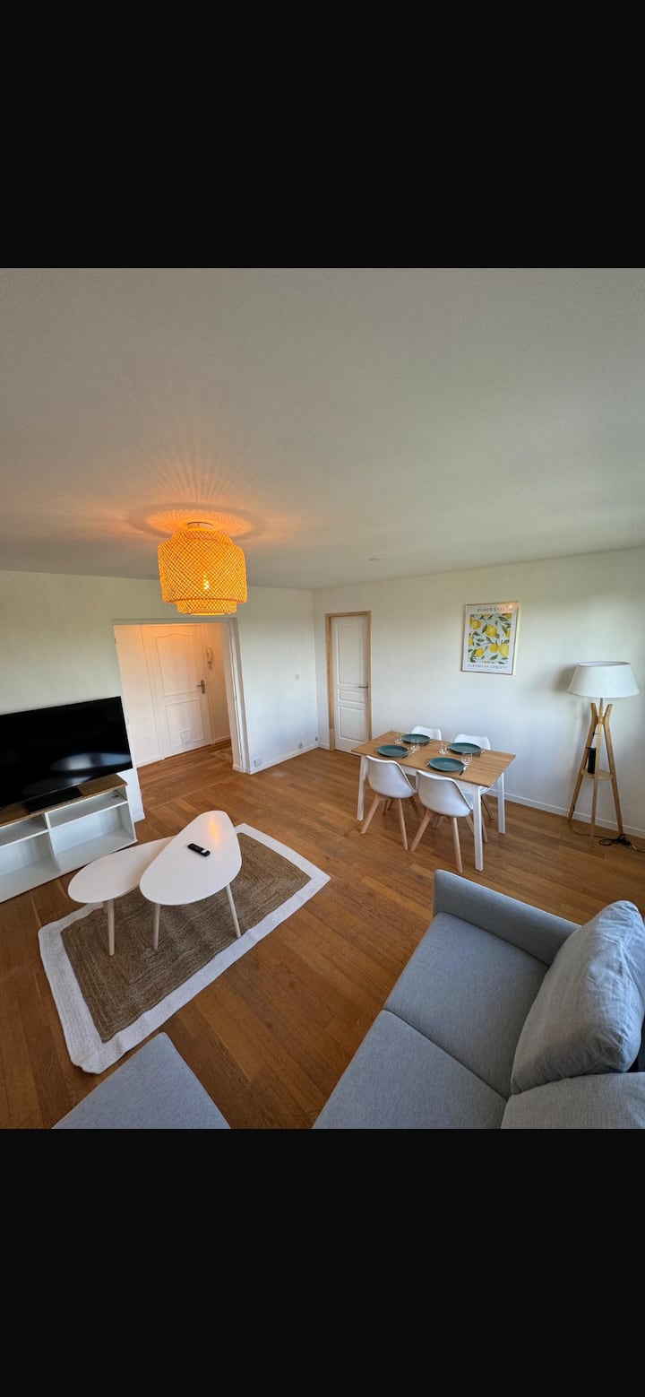 Grand Appartement Rénové à Pessac - Pessac