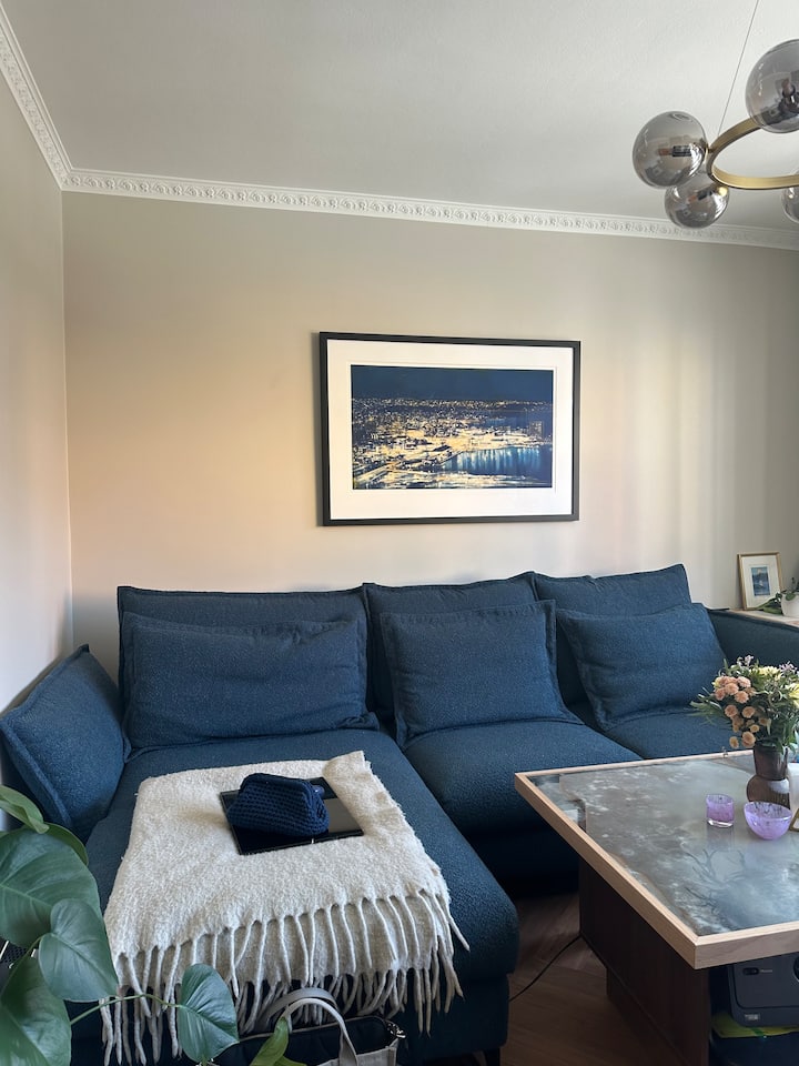 Lekker Leilighet Midt I Byen - Kristiansand