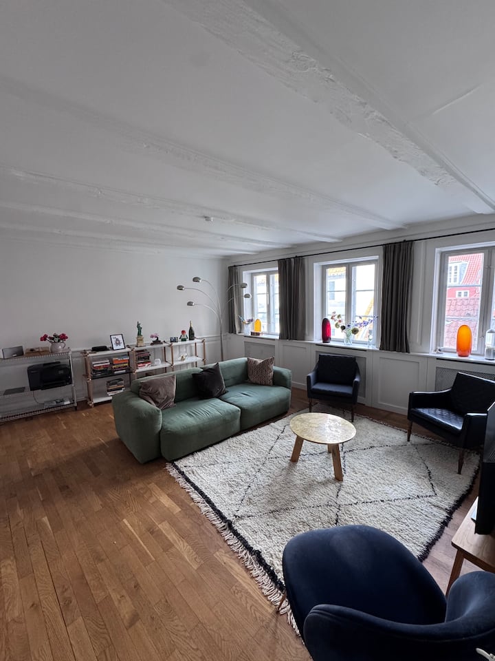 Spacious Apartment In Center Of Copenhagen - Copenhaguen