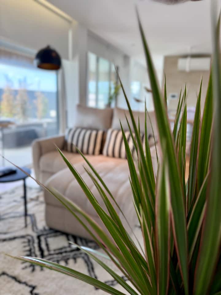 Otium Sugi Roots | Soft Living Retreat - Ribeira Grande