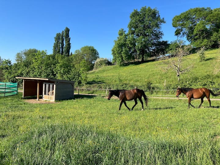 Séjour Ressourcement Avec Les Chevaux
Ecurie Almae - Saint-Marcellin