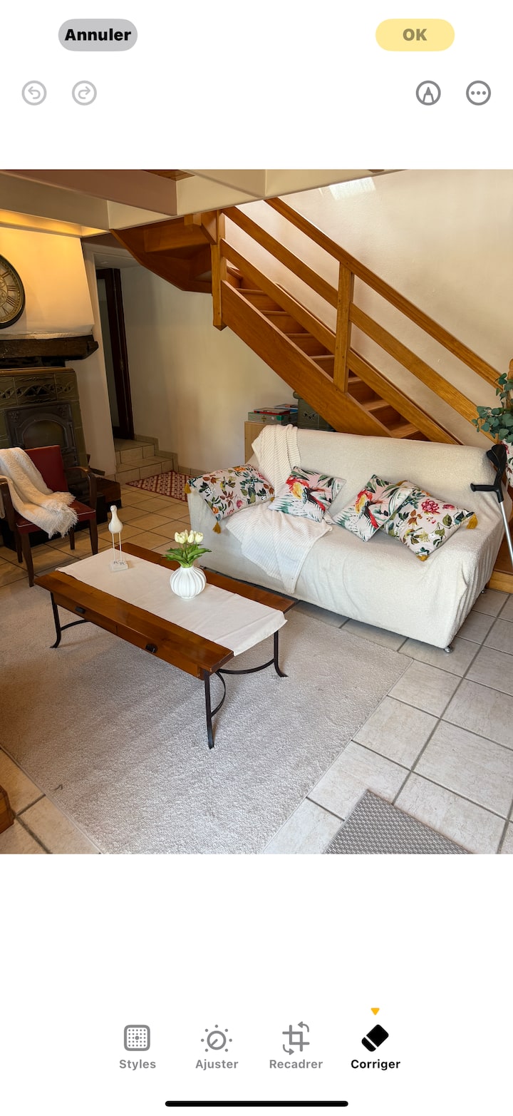 Maison Pierre &Jardin Centre Landerneau - Landerneau