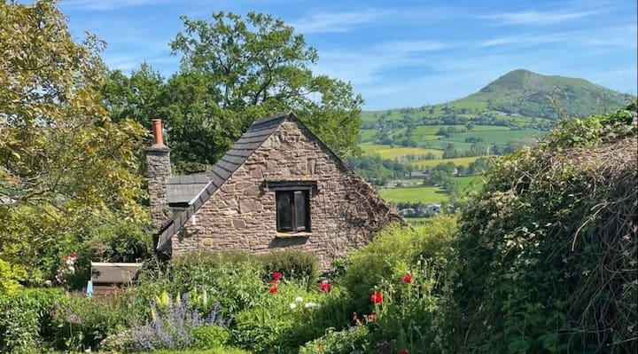 Great Llwygy Cottage - Abergavenny