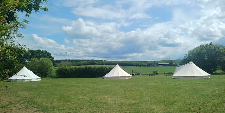 Whitstable Potato Patch 3 Tents - Canterbury