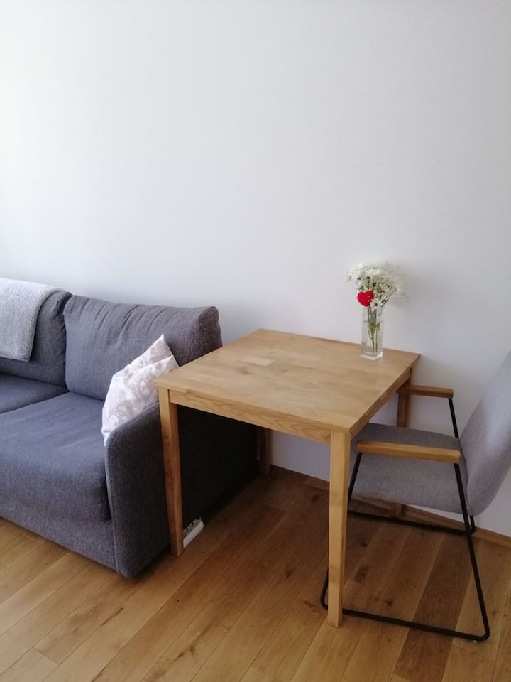 Cozy Flat Directly At Theresienwiese With Terrace - Munique