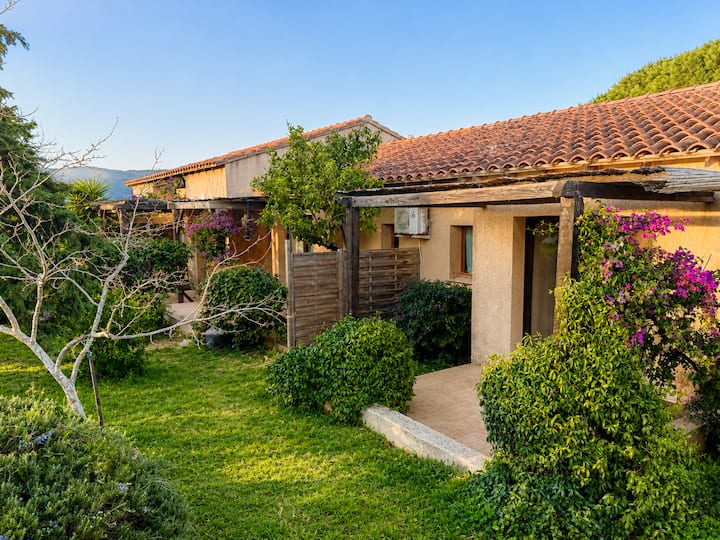 Mini-villa 4 Personnes - Soléa 50 - Vue Nature - Serra-di-Ferro