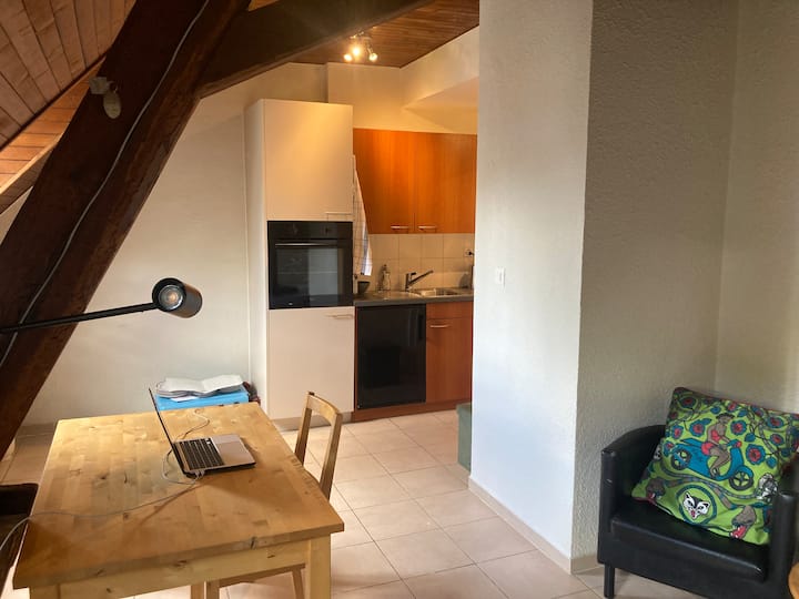 Studio Calme Au Cœur Historique De Lausanne - Crissier