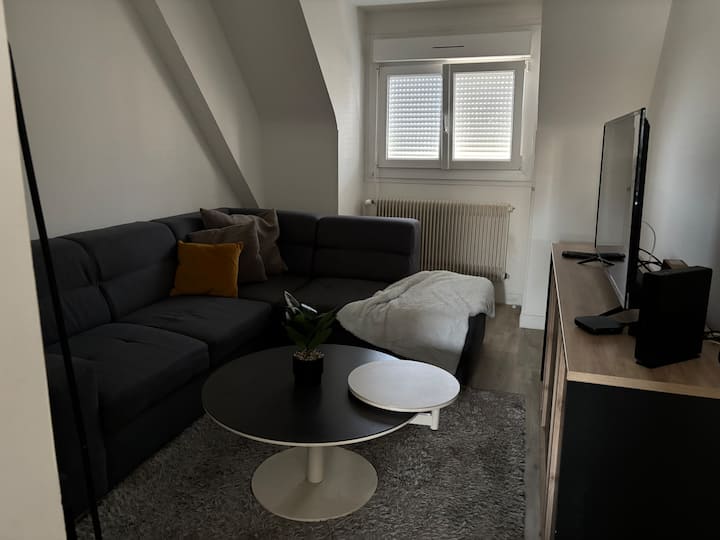 Appartement T3 Au Cœur De Ville - Le Creusot