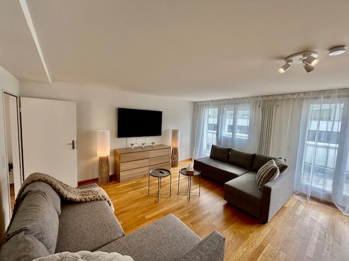 Luxury Penthouse Apartment City Heart - 巴塞爾
